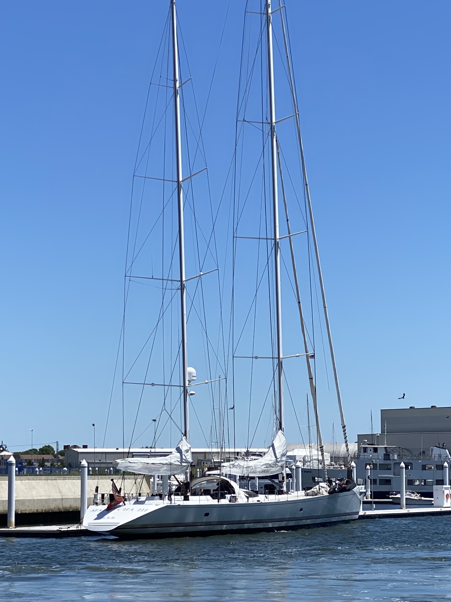 Spotted a legend in Bridgeport CT. | Scrolller