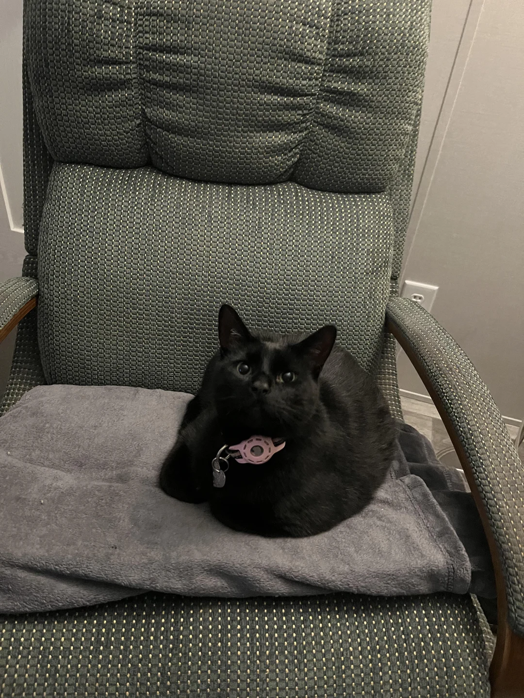 Snail mode | Scrolller