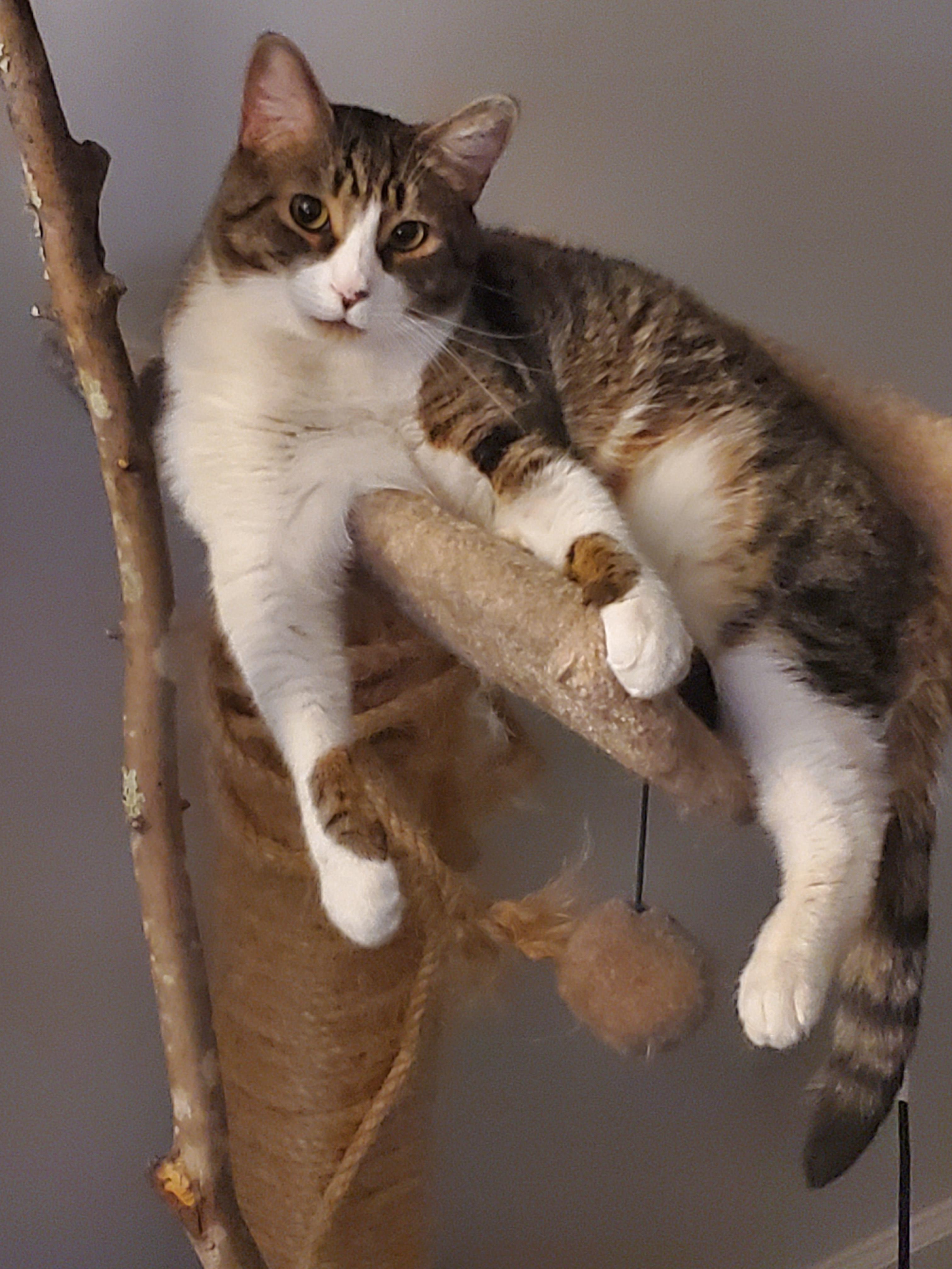 Mr Freddie looking dapper as ever | Scrolller