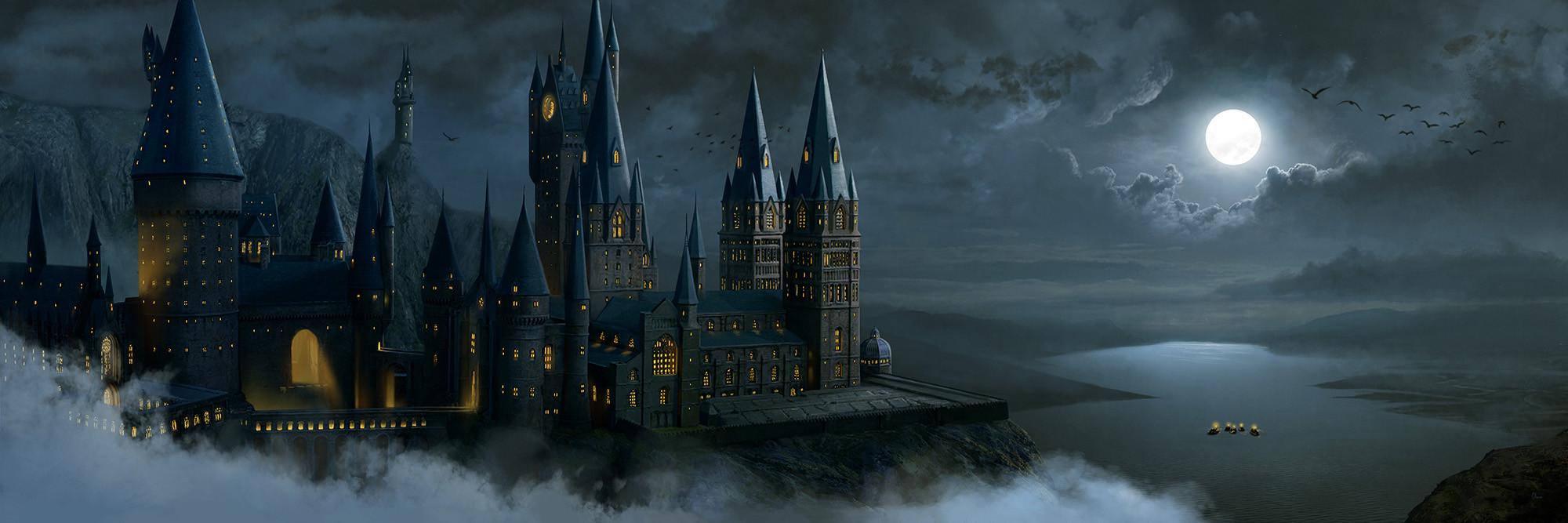 Hogwarts by artist Pablo Olivera | Scrolller