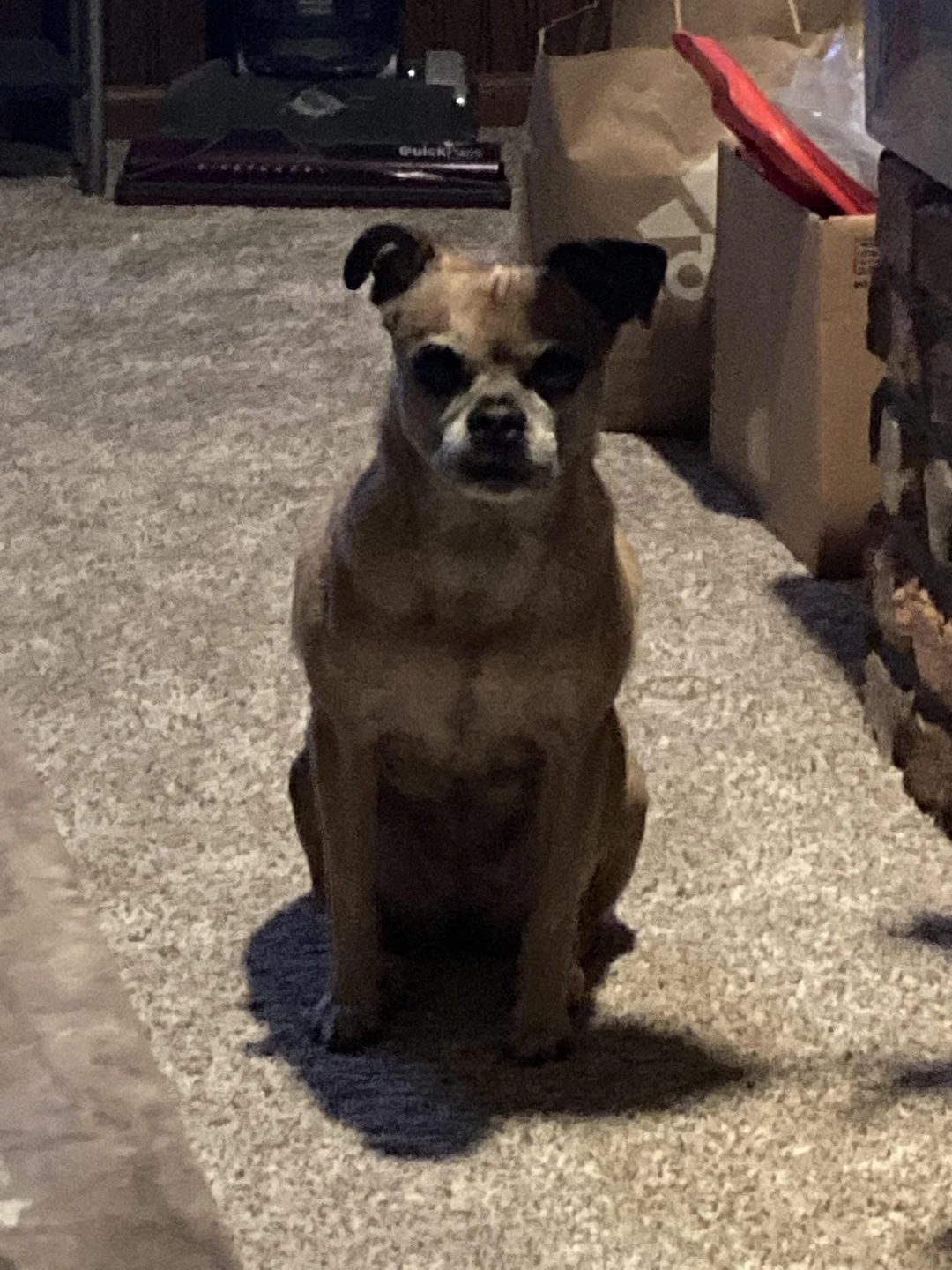 She's plotting something... | Scrolller