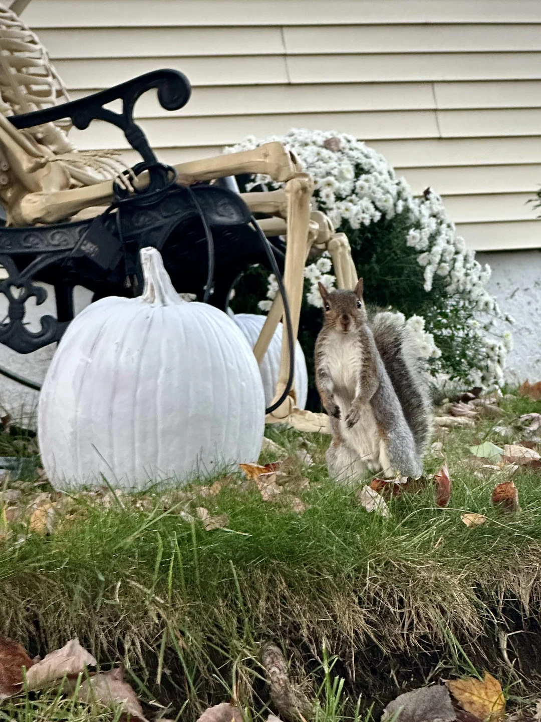 Hello yes I’m here for my fall festive photoshoot | Scrolller