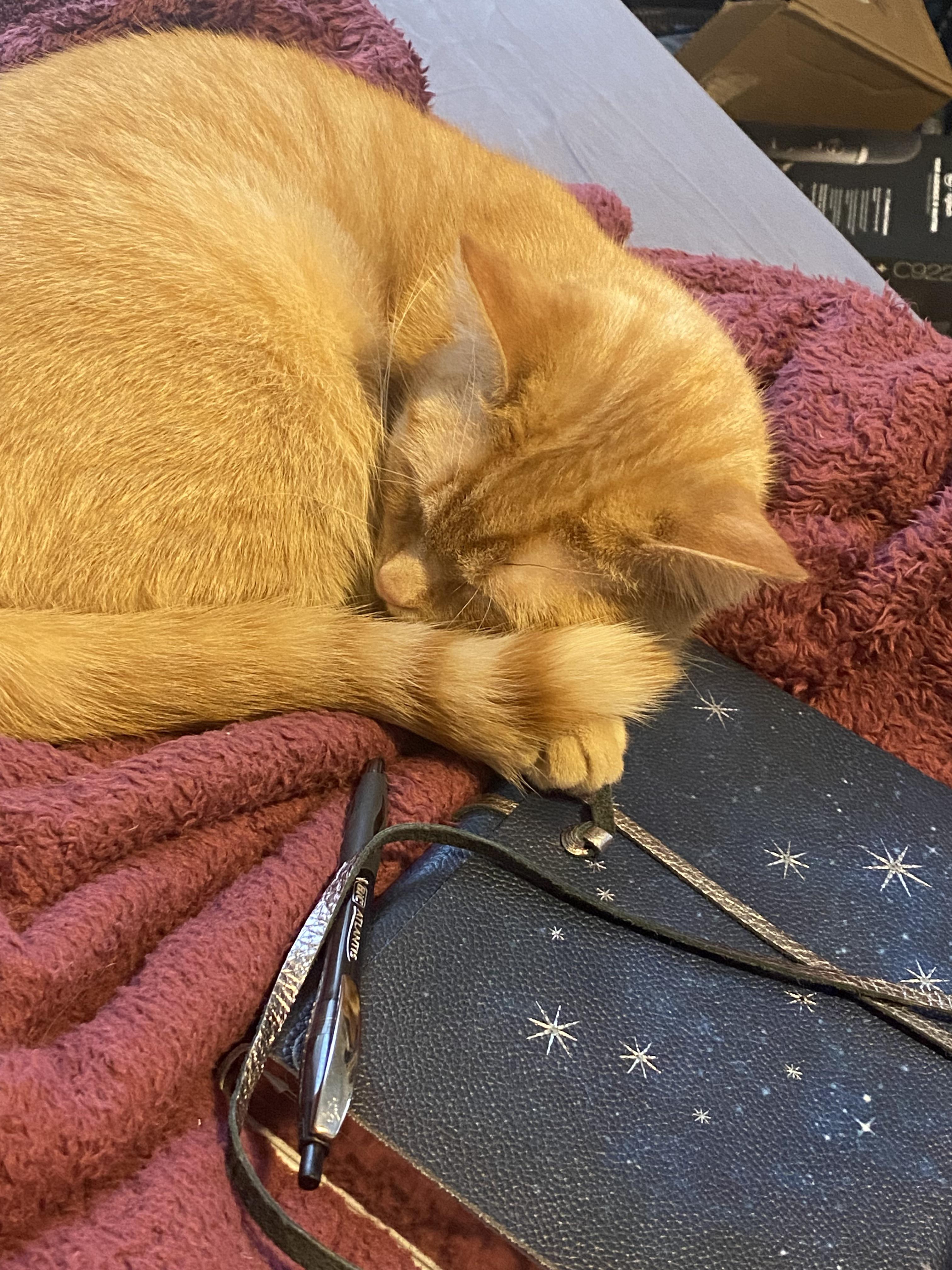 He took my journal | Scrolller