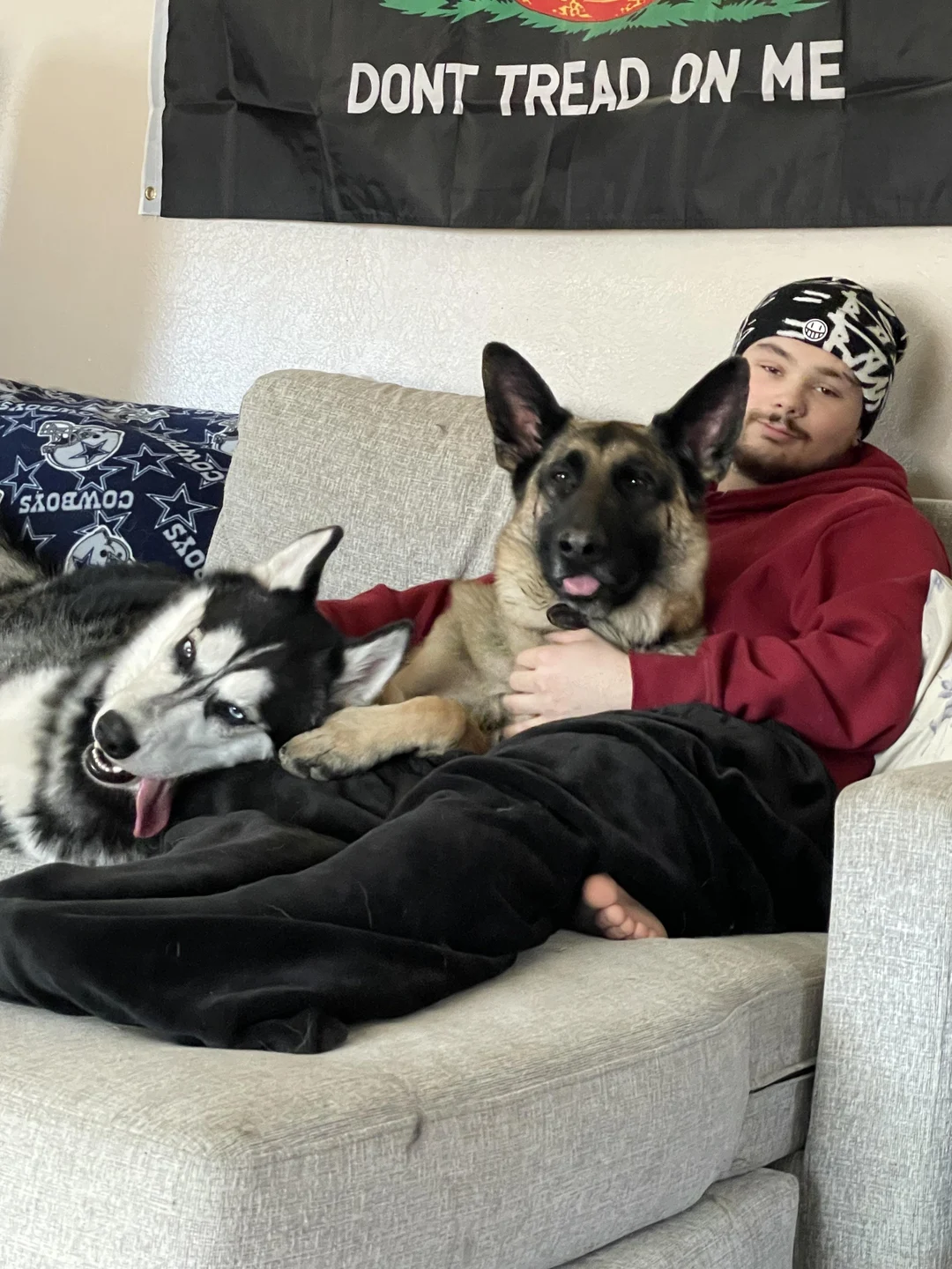 Husky and a shepherd | Scrolller