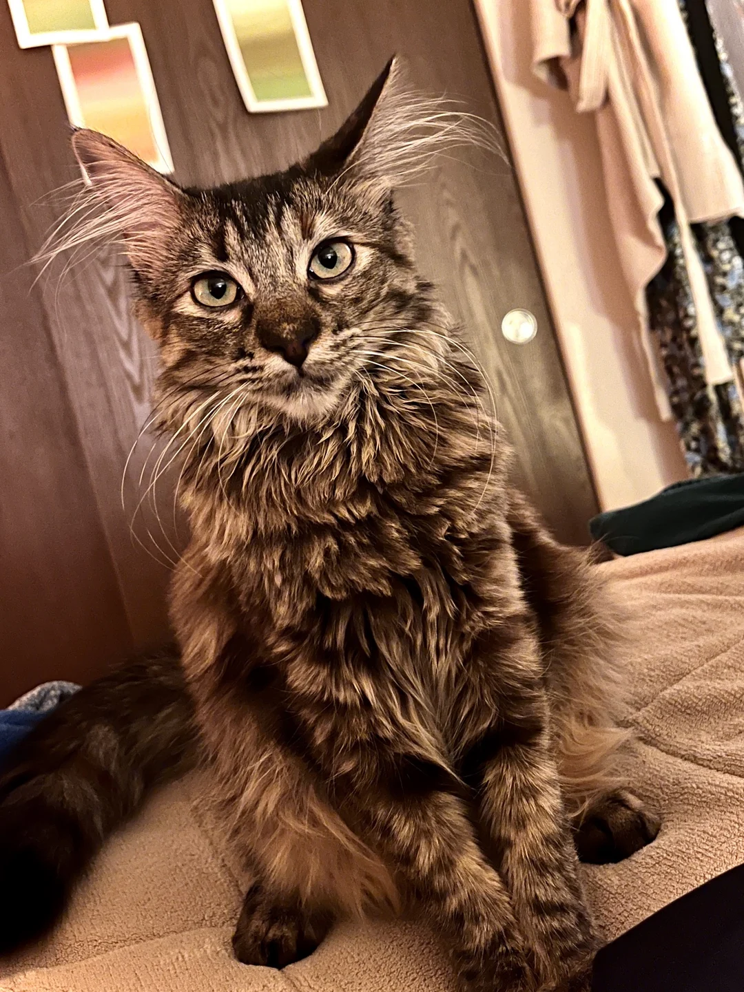 Meet Dax! She’s almost a year old | Scrolller