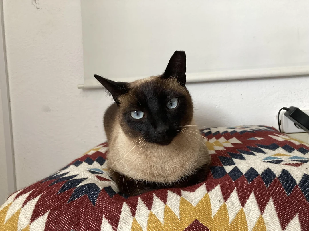 One of the neighbours left out a burned loaf at my holiday accommodation | Scrolller