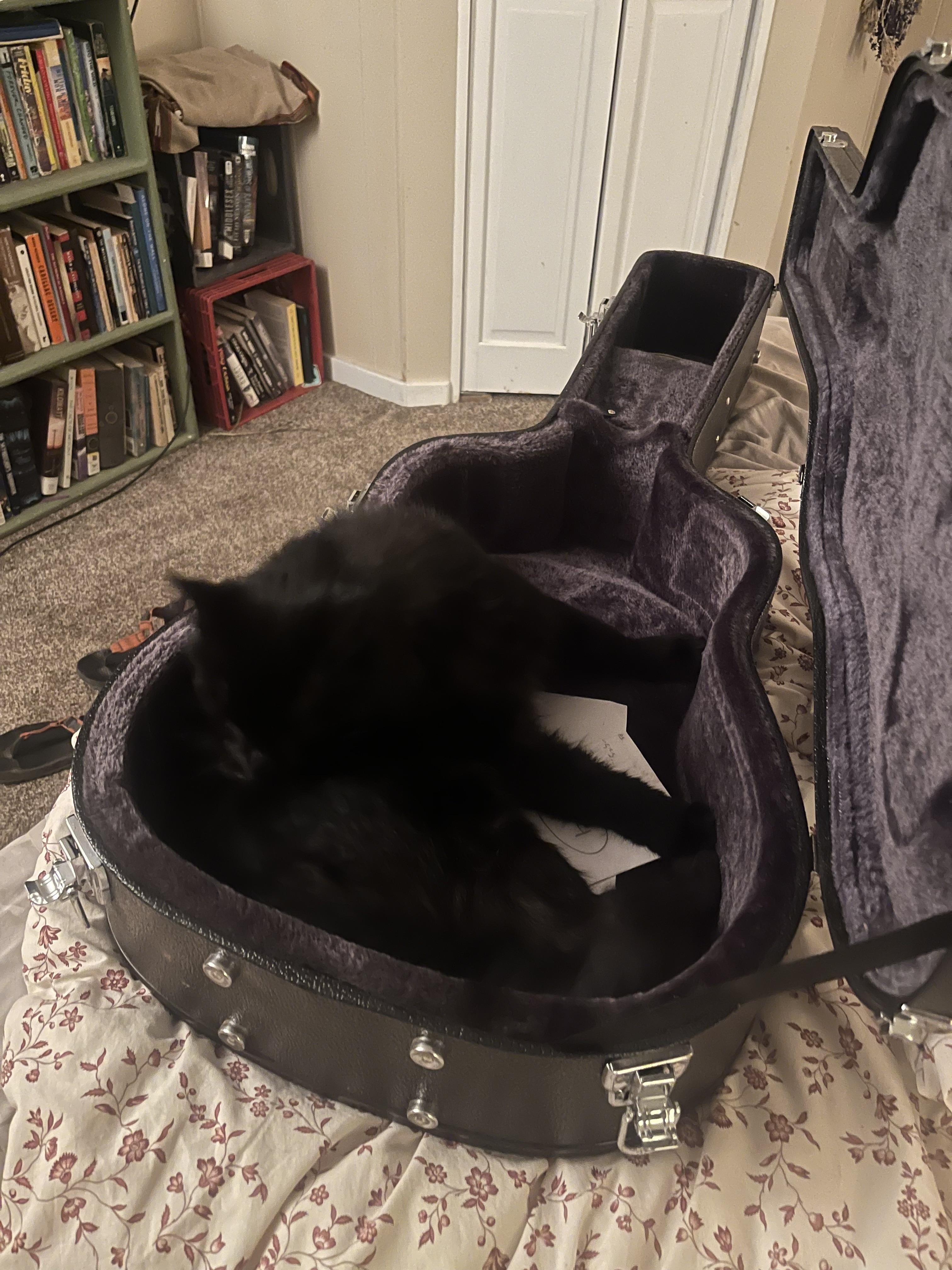 Void inside guitar case | Scrolller