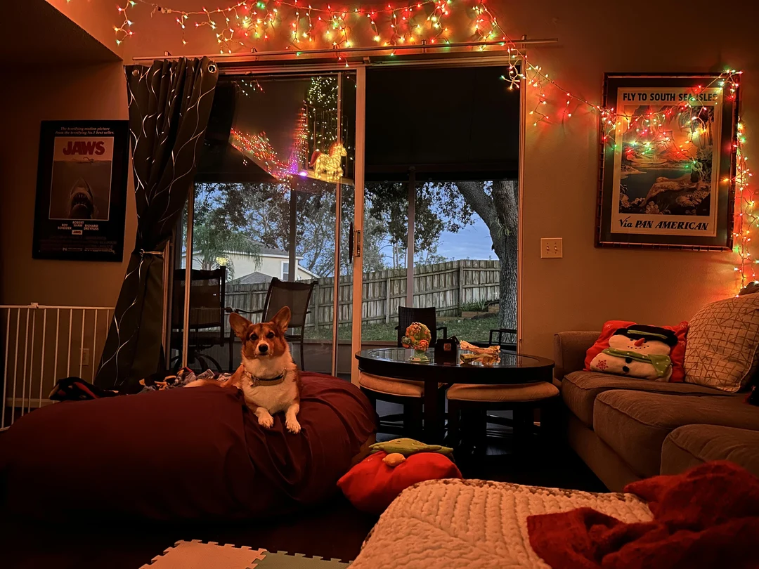 Finally able to cozy up in Florida with the doors open | Scrolller