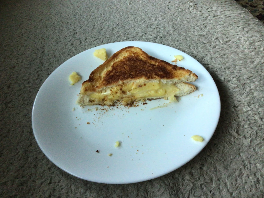 Any thoughts on my grilled cheese? | Scrolller