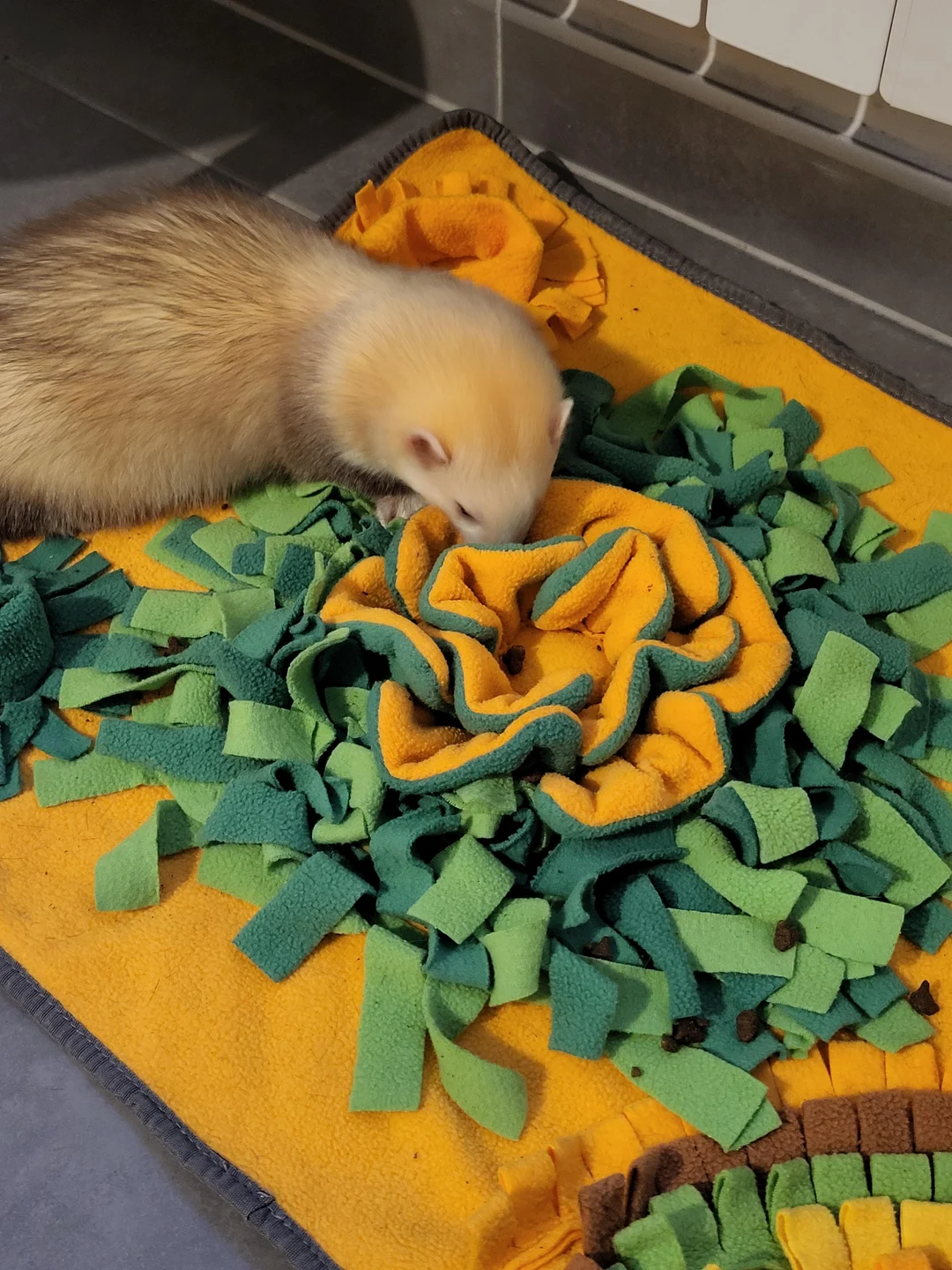 He just loves the sniffing mat | Scrolller