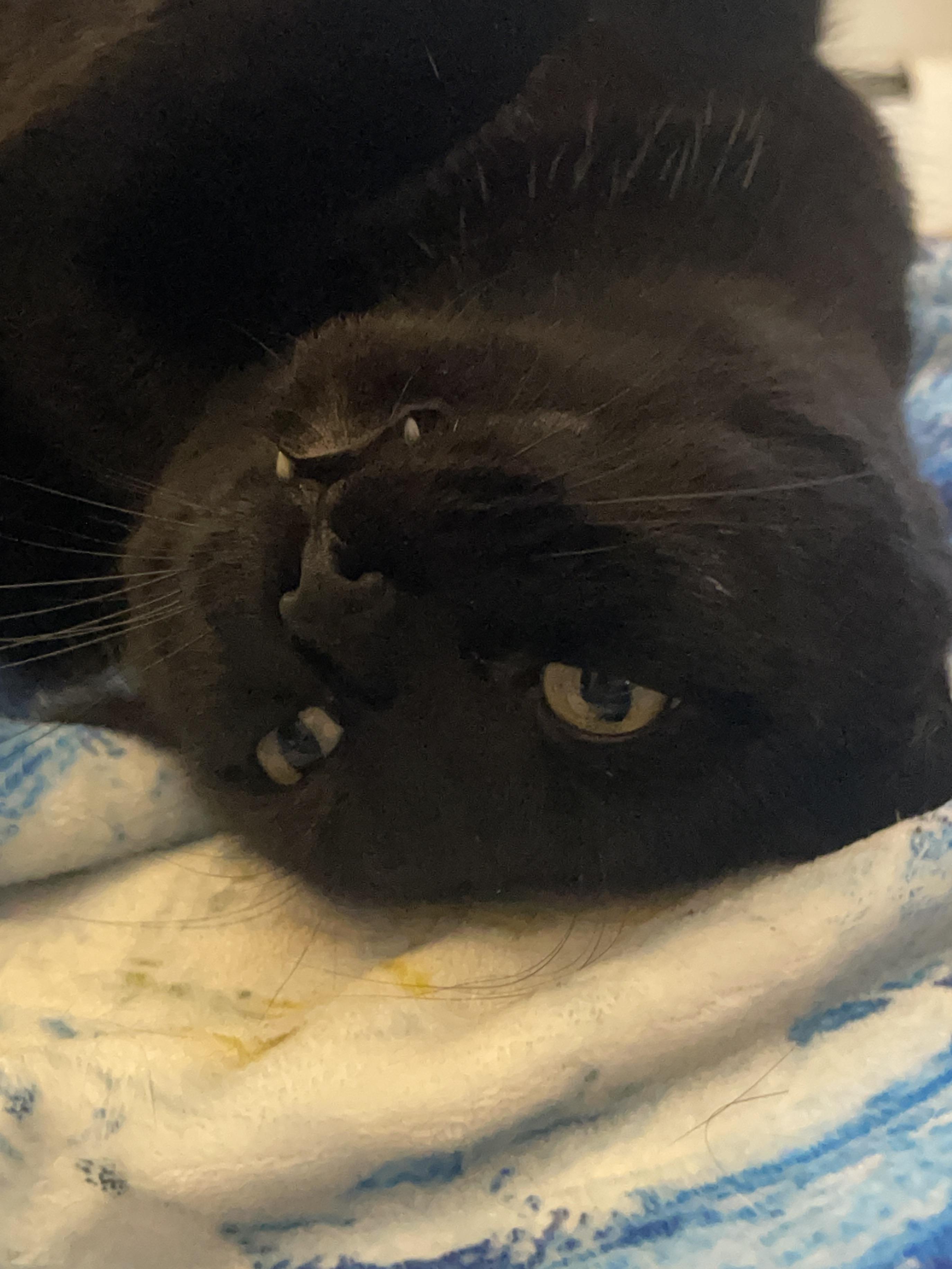 Danger zone | Scrolller