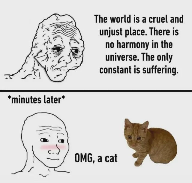 suffering | Scrolller