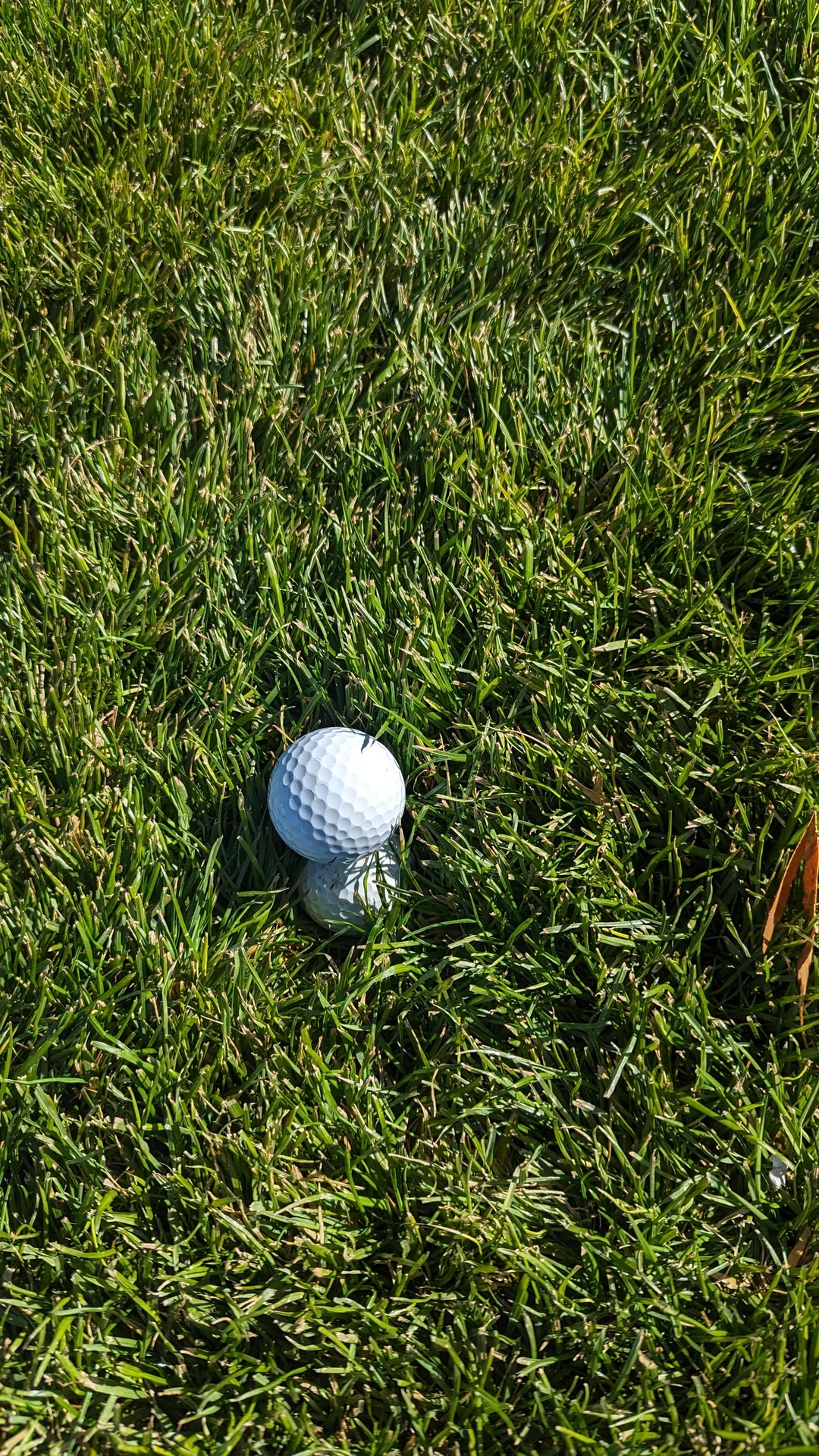 What's the ruling? | Scrolller