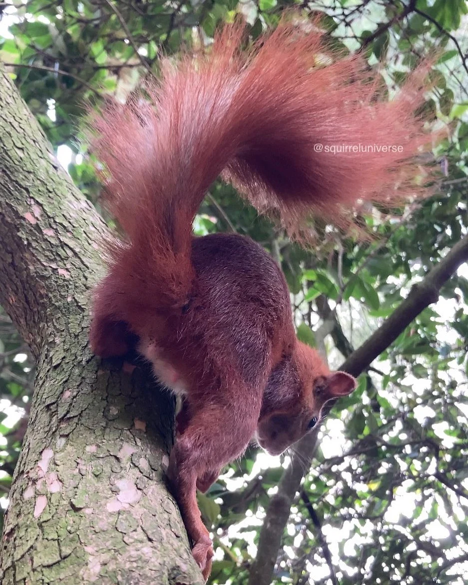 Precious | Scrolller