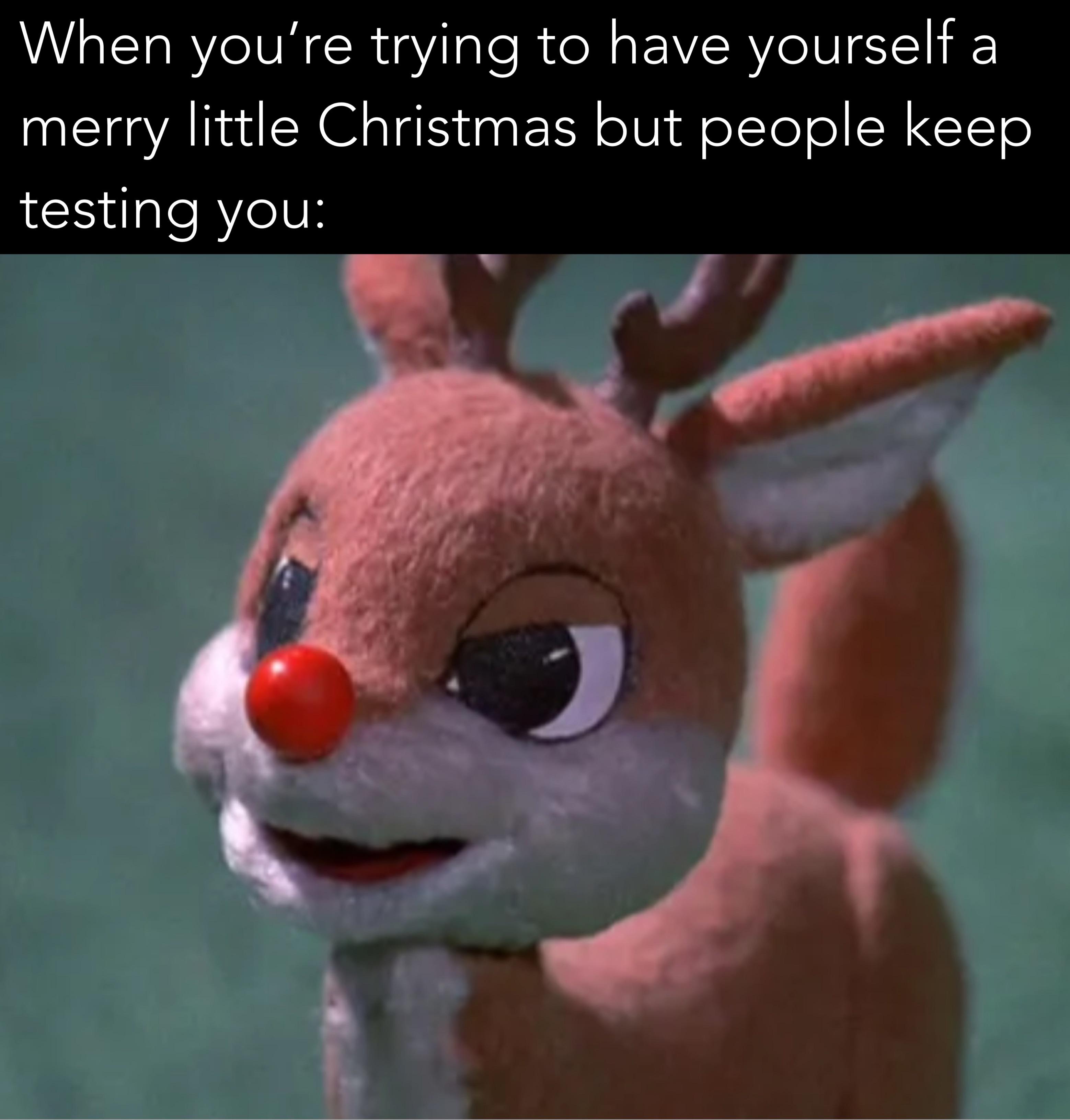 ’Tis the season. | Scrolller