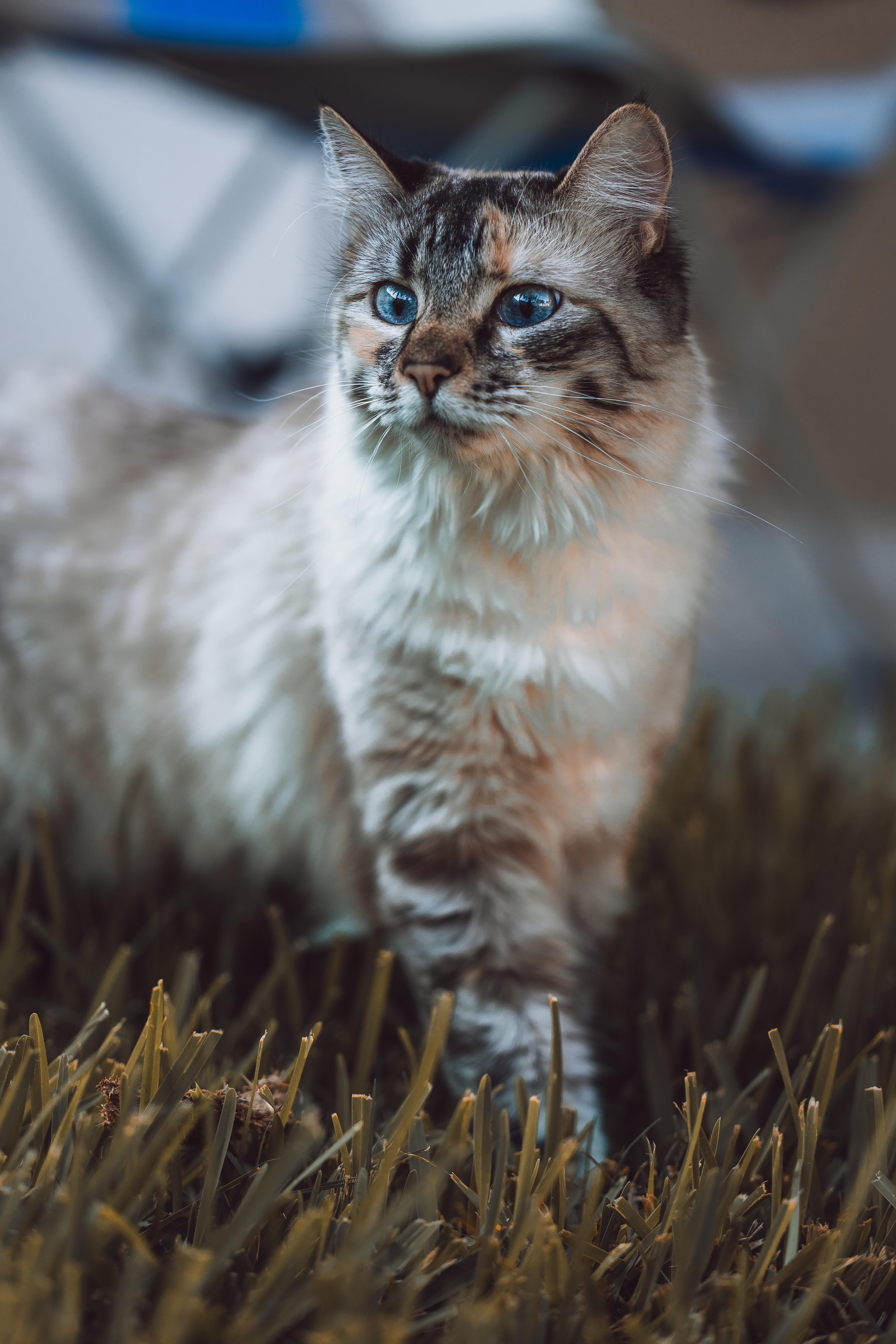 Essentially my child. | Scrolller