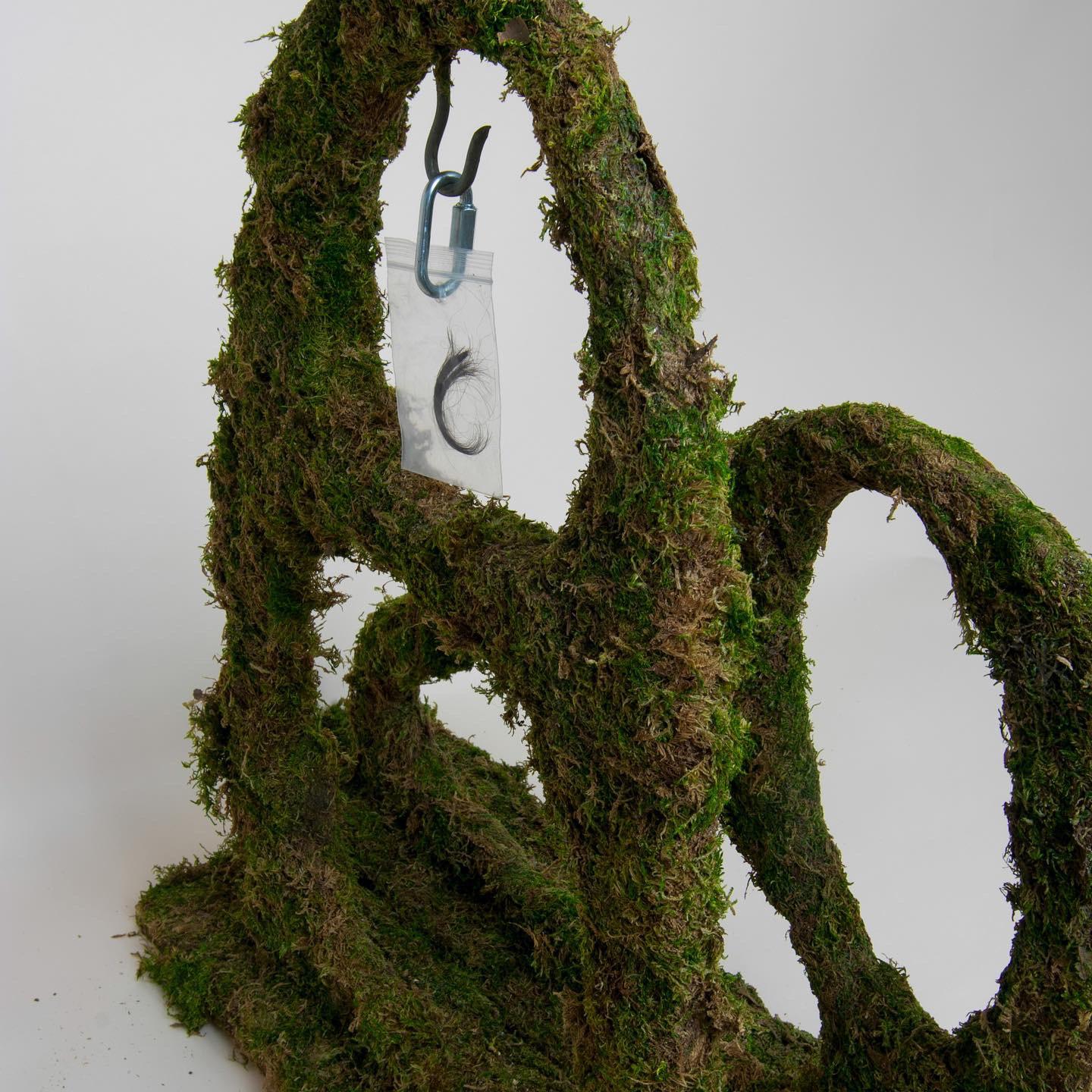Art Work-Me, Human Hair/moss/wood,2022 | Scrolller