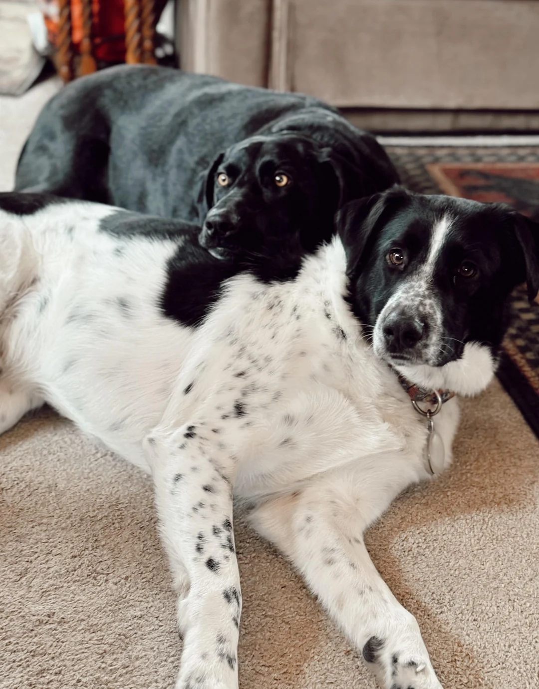 Besties forever | Scrolller