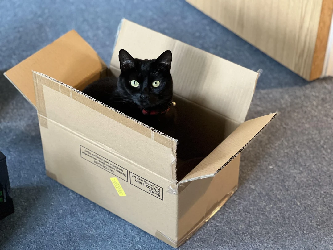 Freshly trapped! | Scrolller