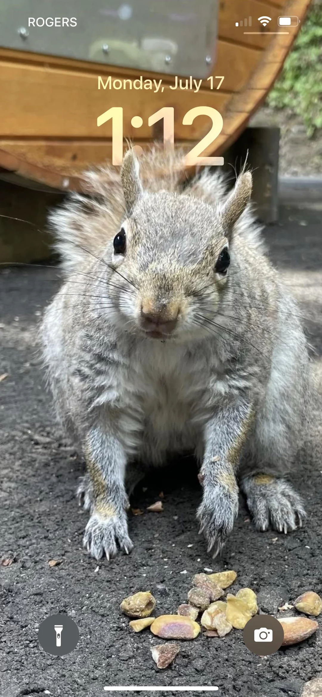 Anyone else? | Scrolller