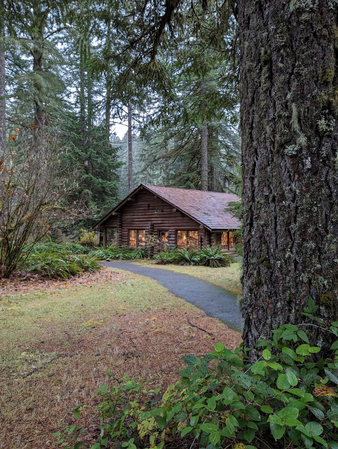 Silver Falls State Park, Oregon | Scrolller