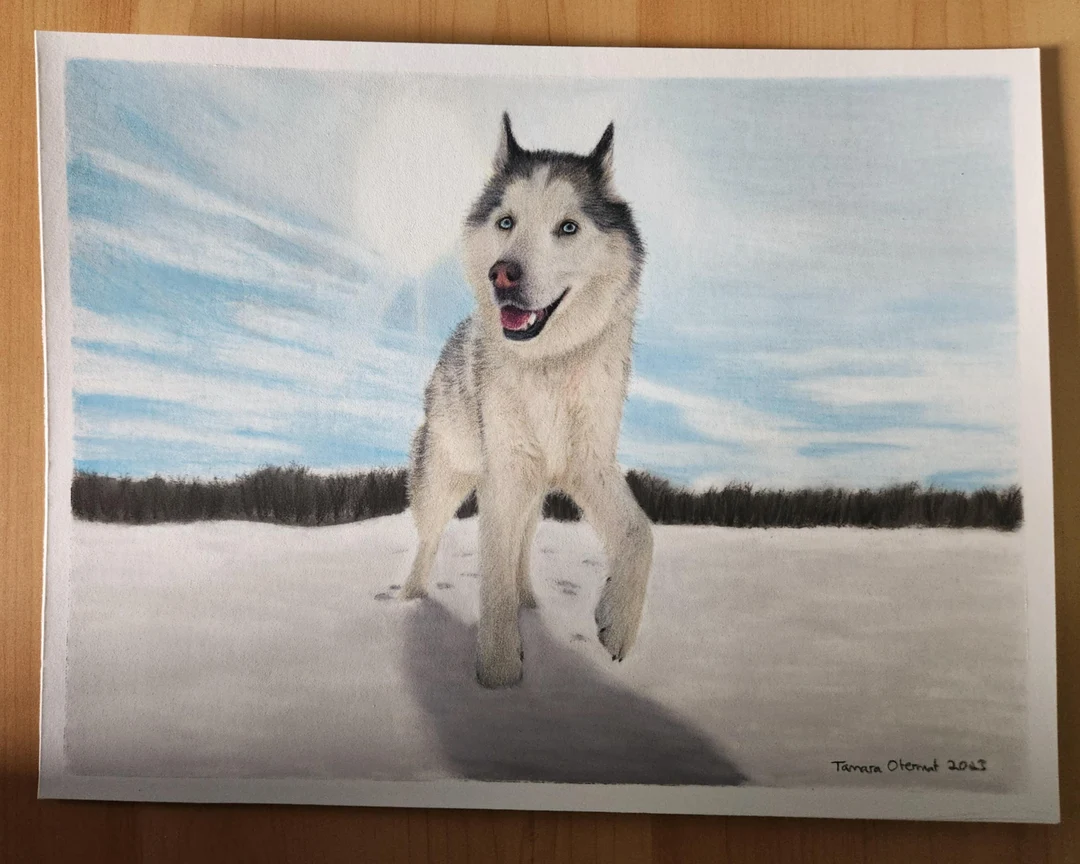 A portrait I drew of Kota. I used colored pencils and pastels 😊 | Scrolller