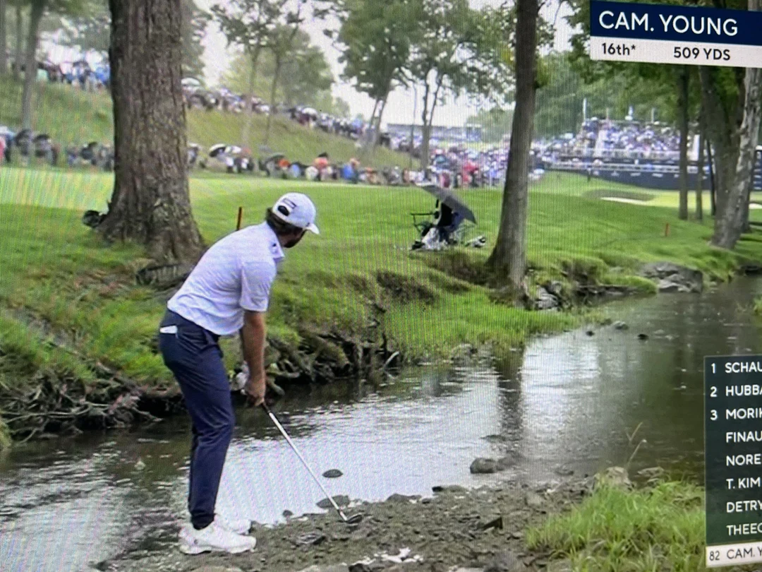 And I thought Scottie was in trouble… | Scrolller