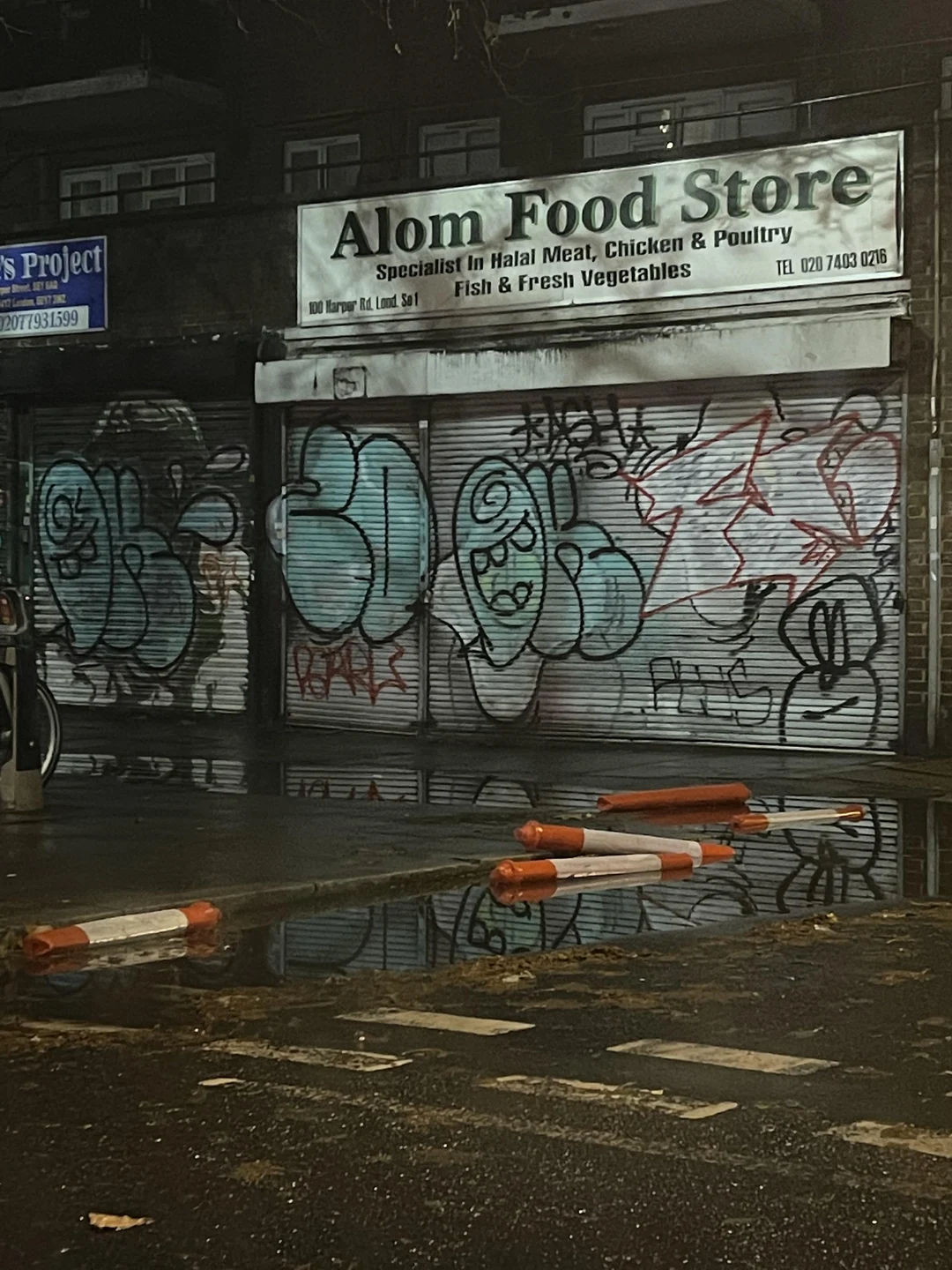 Elephant | Scrolller