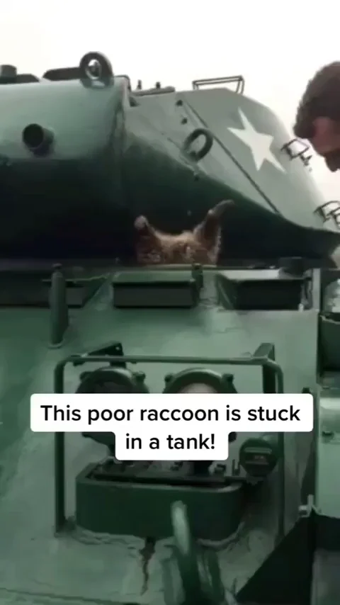 Little guy got stuck in a tank | Scrolller