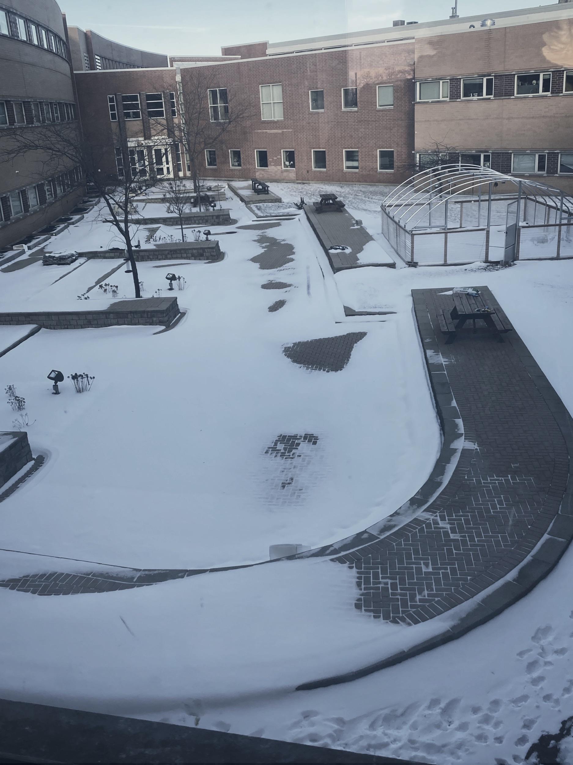 Forgotten courtyard | Scrolller