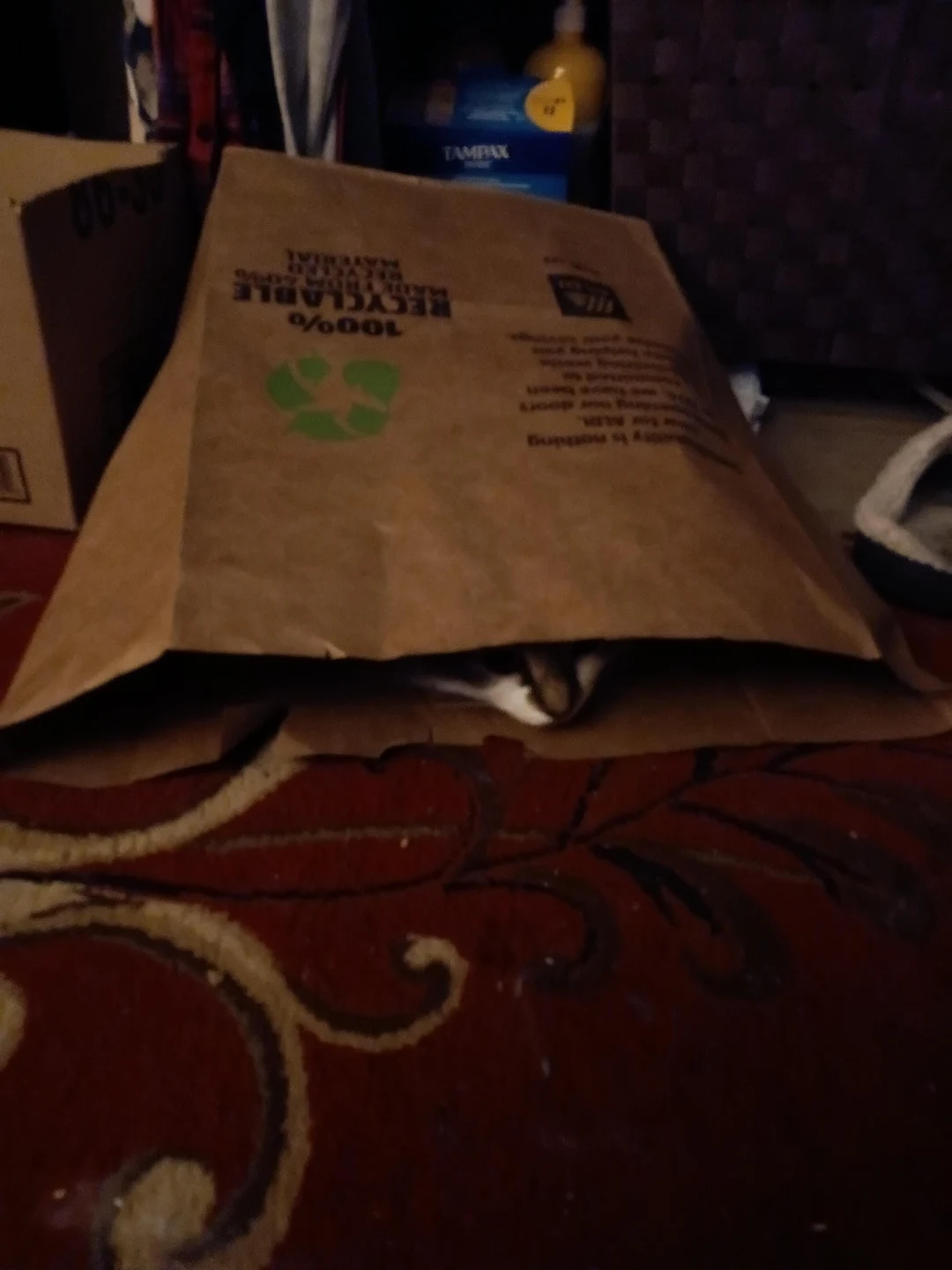 the bag trap is always effective. | Scrolller
