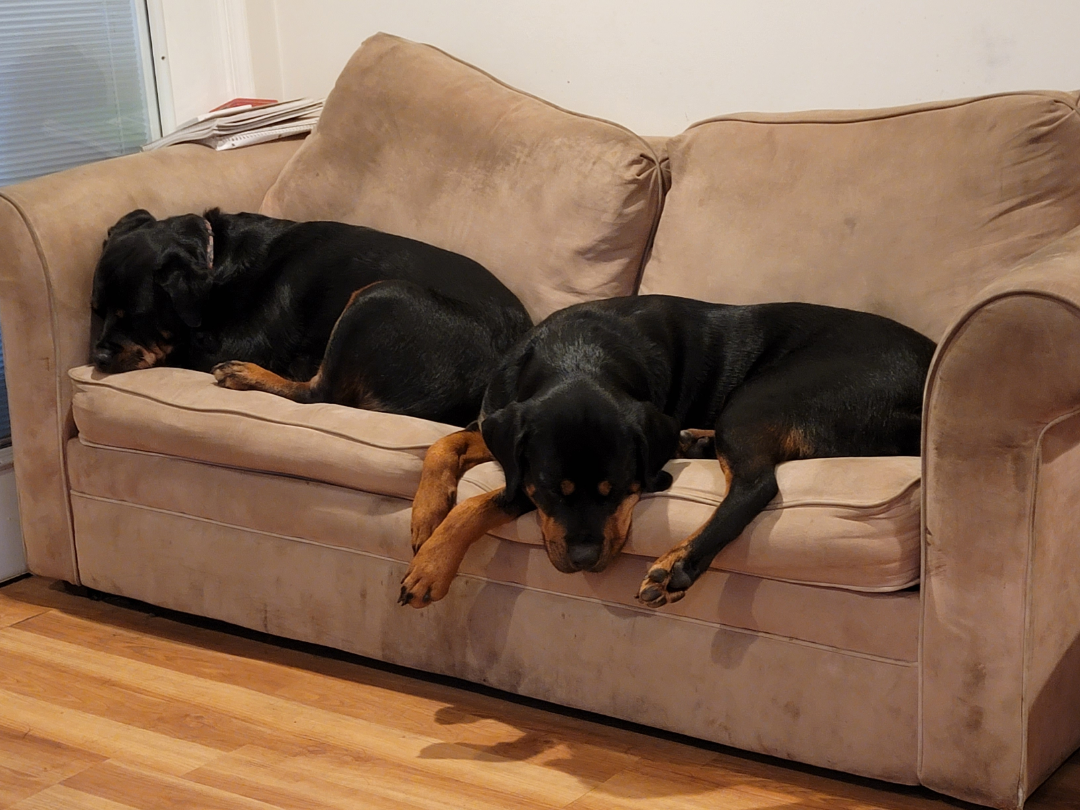 Honey Bear and her daughter, Sugar Bear | Scrolller