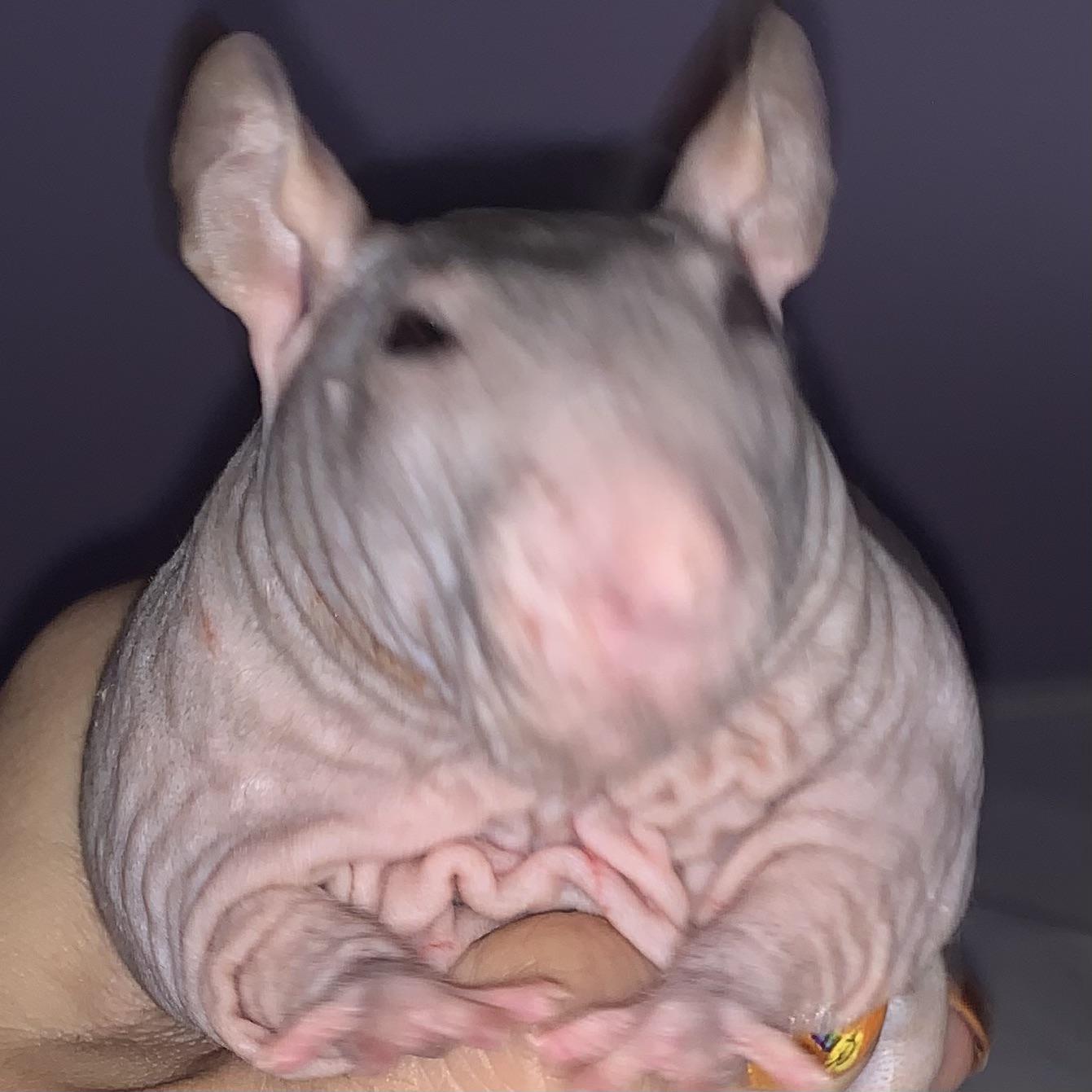 Accidental flash | Scrolller