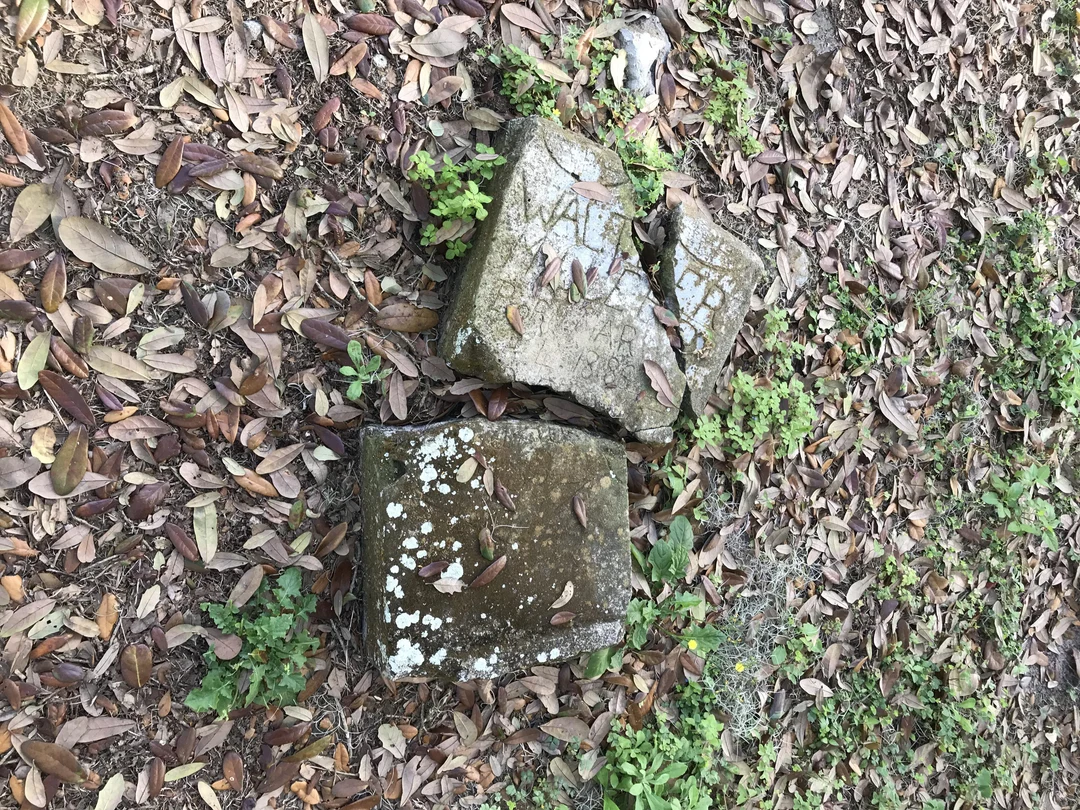Forgotten grave in an abandoned cemetery. Outside of Ft.Mede Florida | Scrolller