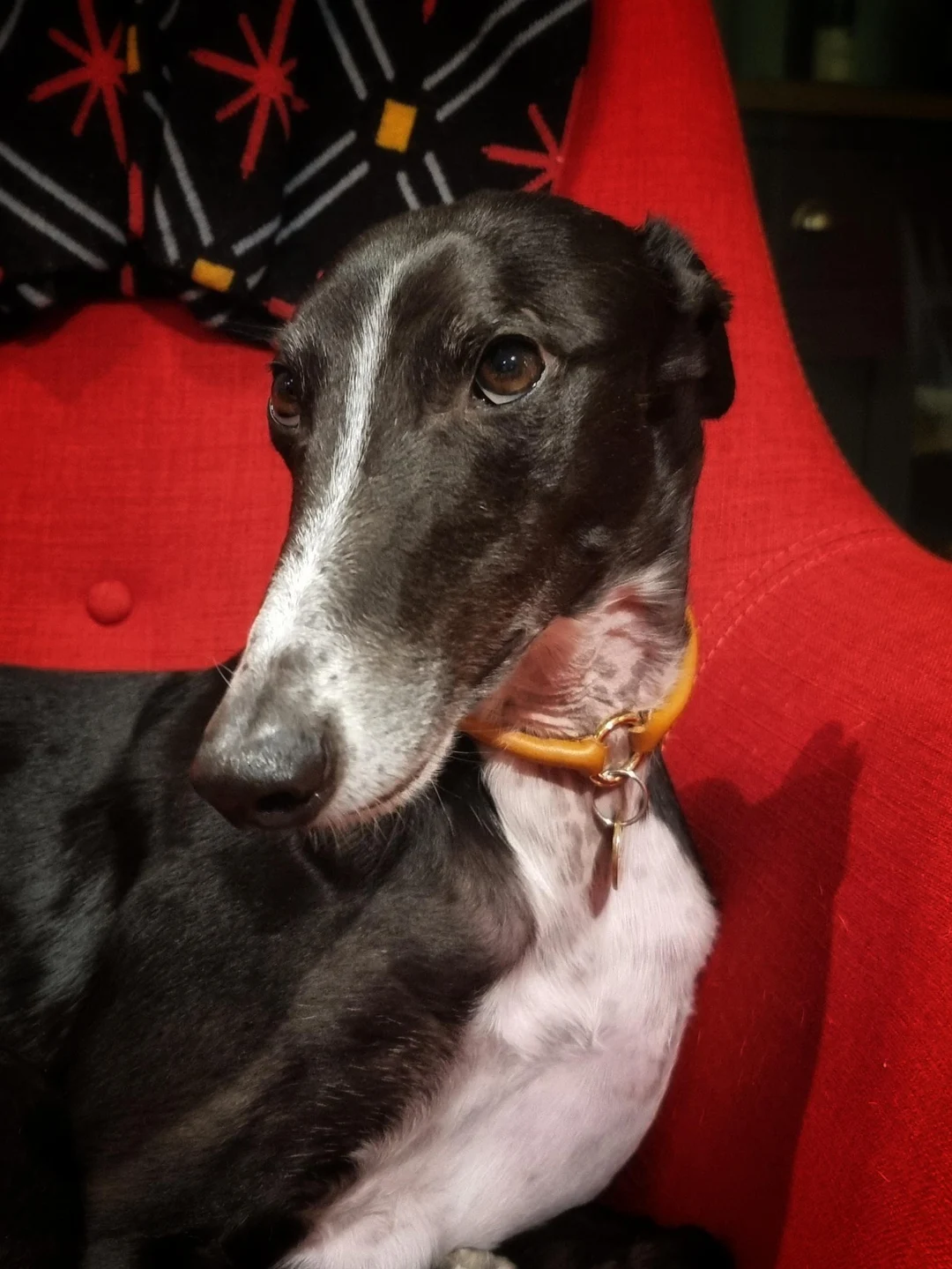 Some of you asked for more of Stacey, so here she is. | Scrolller