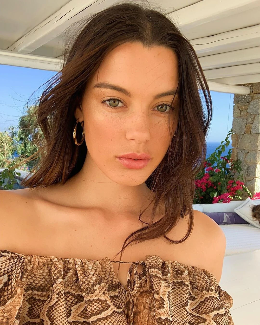 Denise Schaefer | Scrolller