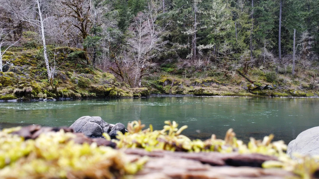 Oakridge, Oregon 1920x1080 [OC] | Scrolller