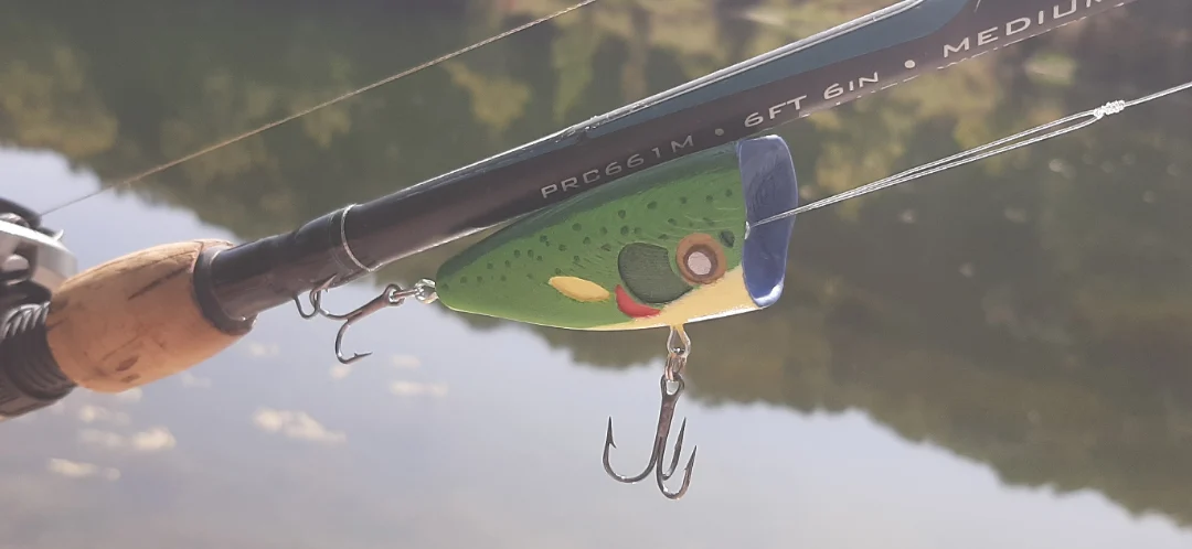3d printed topwater popper | Scrolller