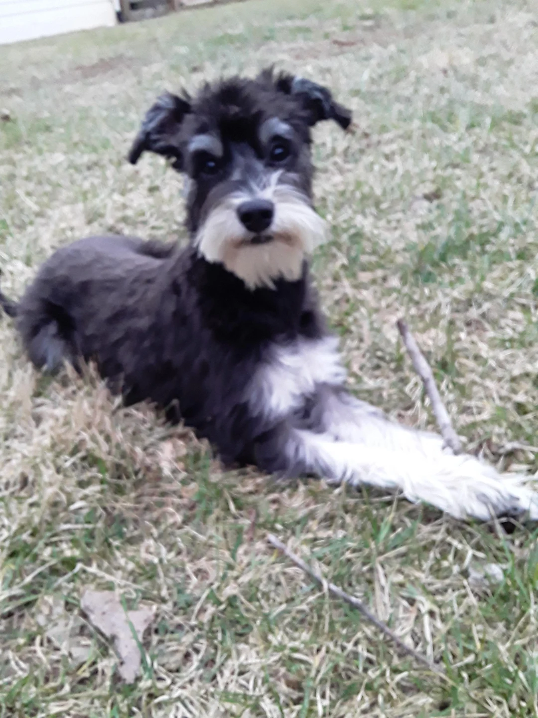 Just made 8 months | Scrolller