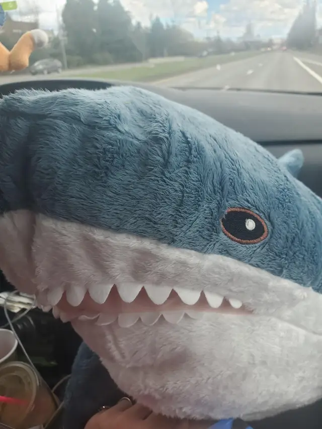 I came out as trans a month ago (mtf) and my mom just got me a blahaj! | Scrolller