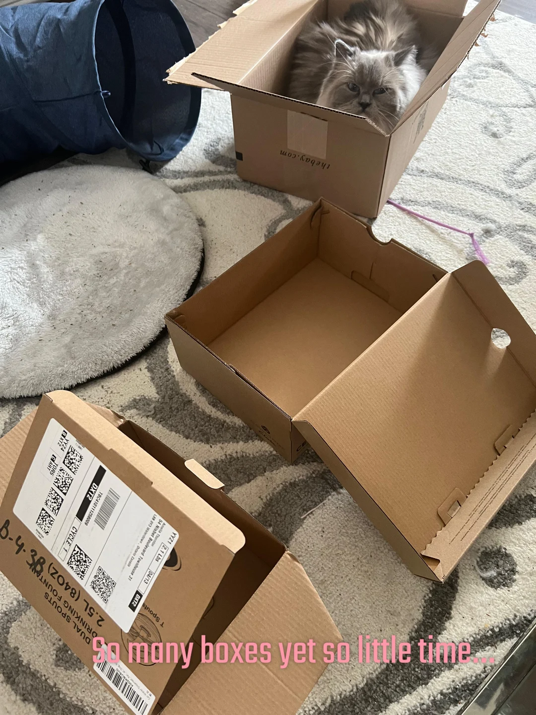 So many boxes… | Scrolller