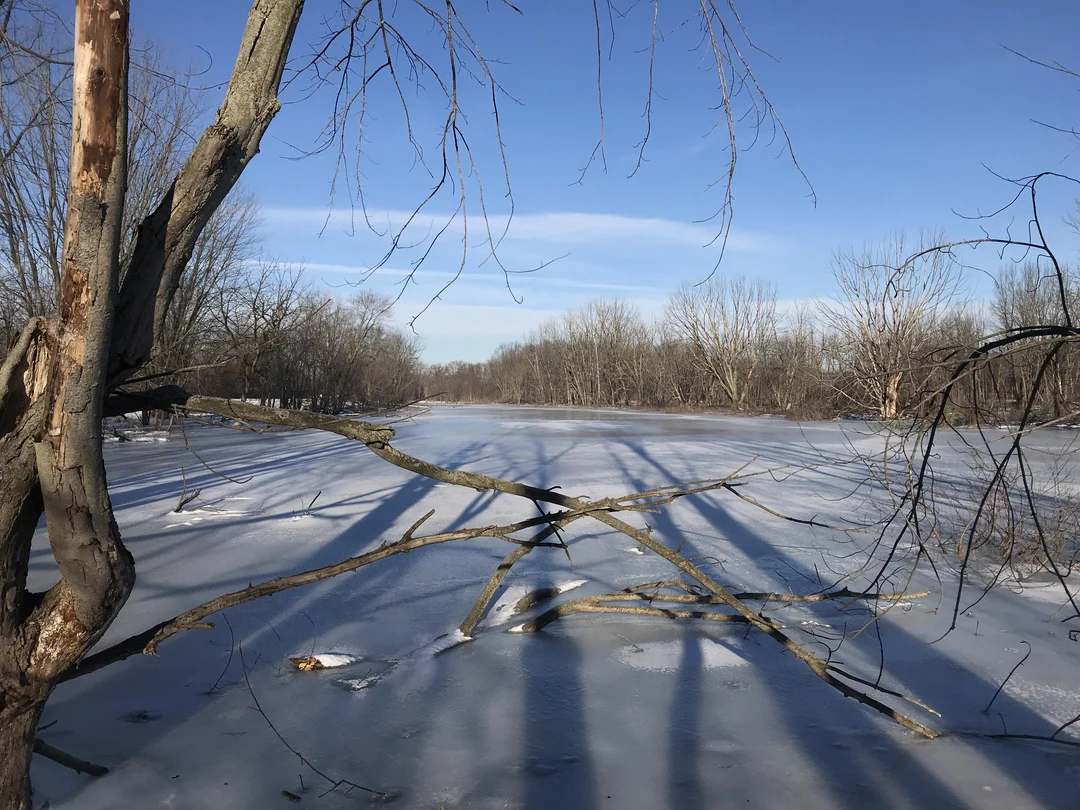 Frozen Bog | Scrolller