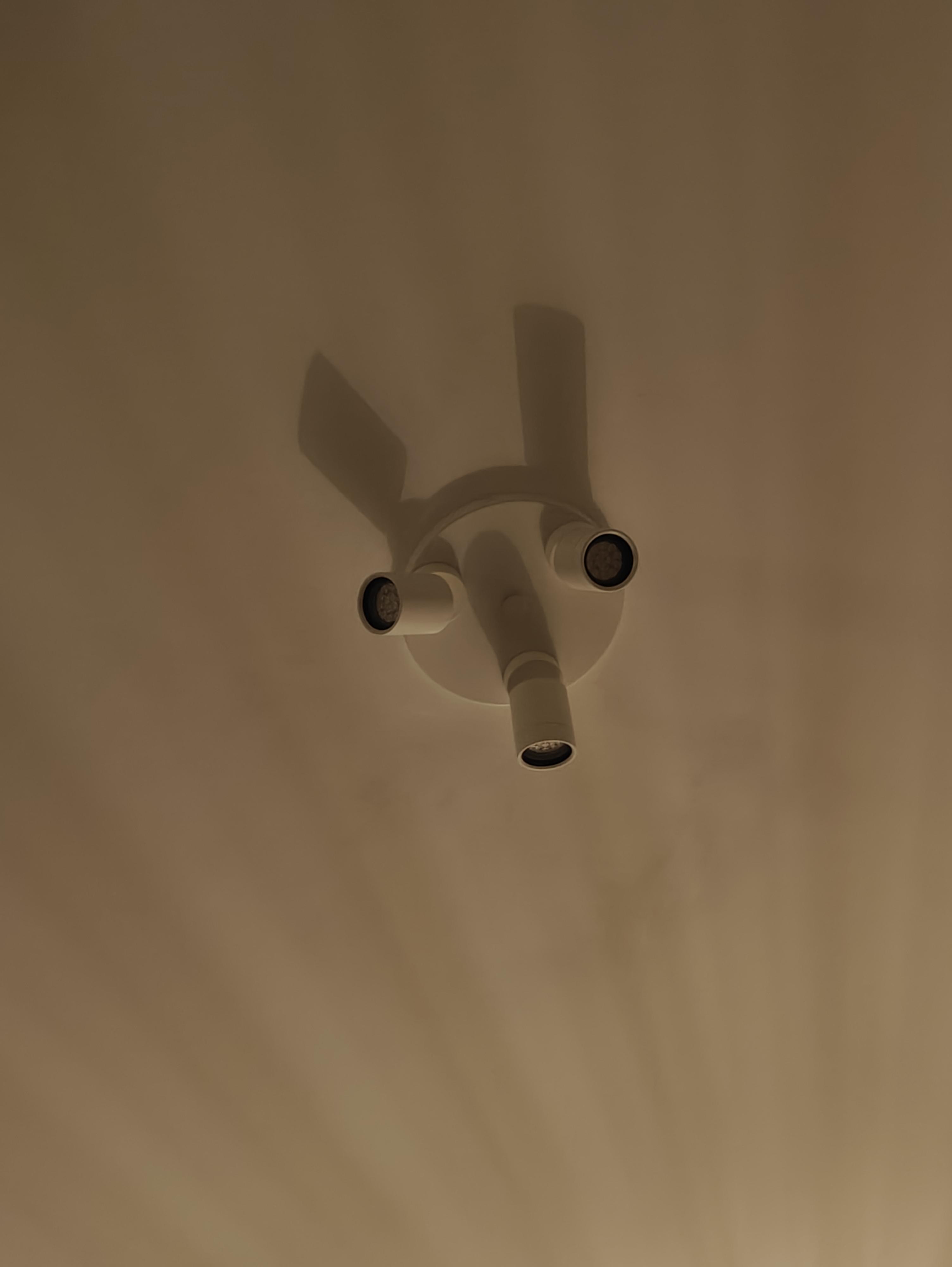 Discover more like Pics: My ceiling light and it's shadow look like a goofy anteater. and ...
