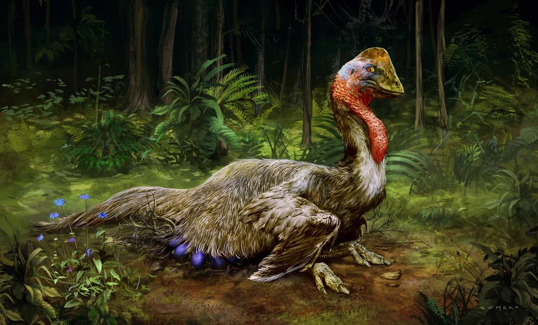 Pearl the Anzu Wyliei by Stephen Somers | Scrolller