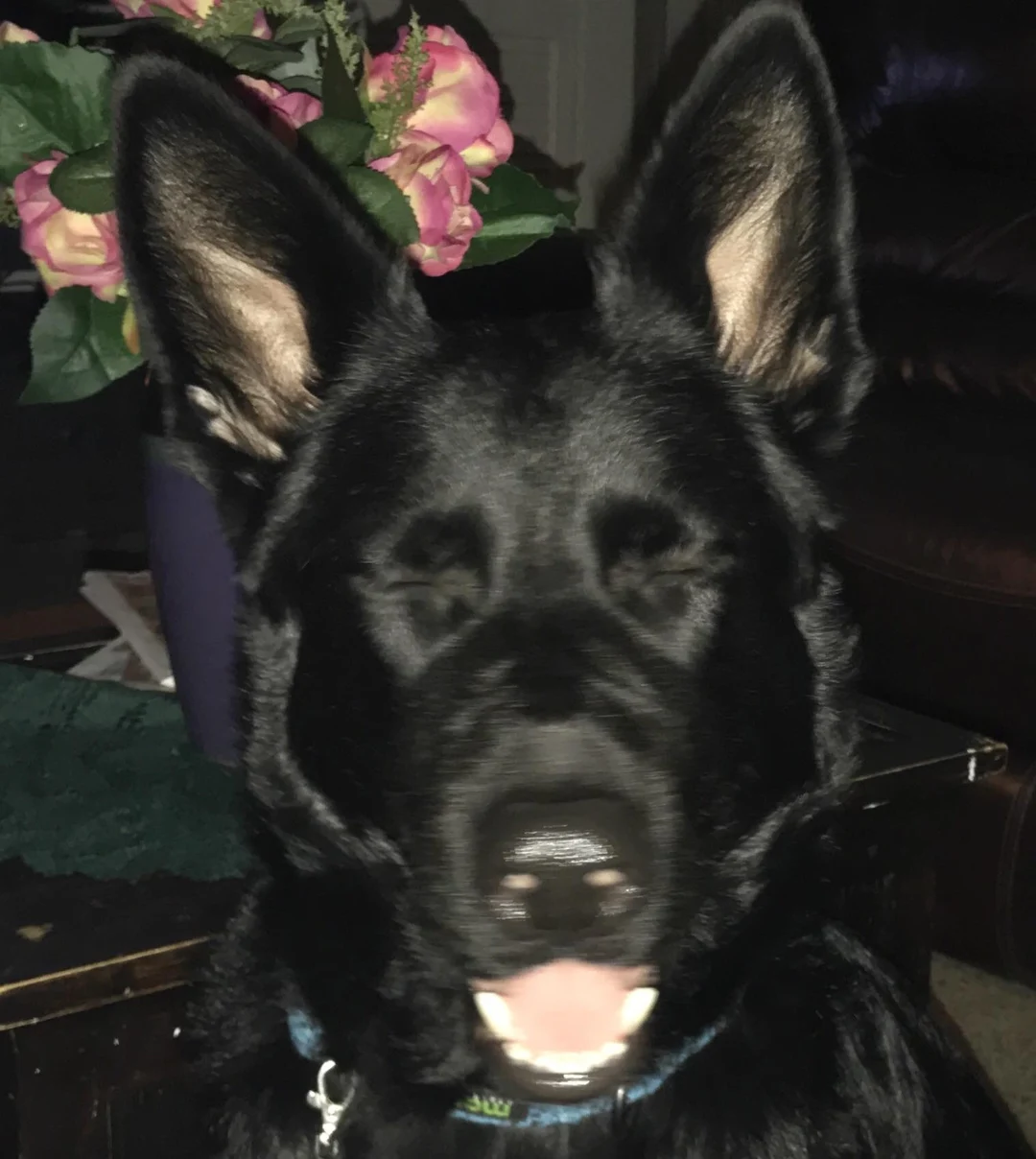 Blinking | Scrolller