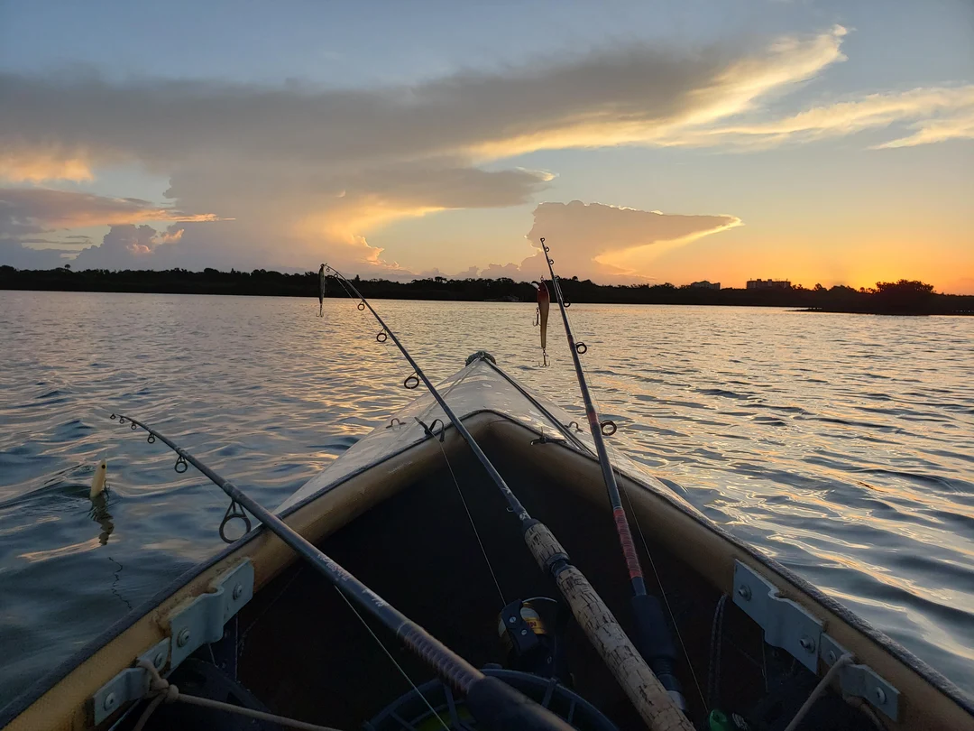 I was first to the creek. 3 snook. 1 snapper. All on bone color topwater. | Scrolller