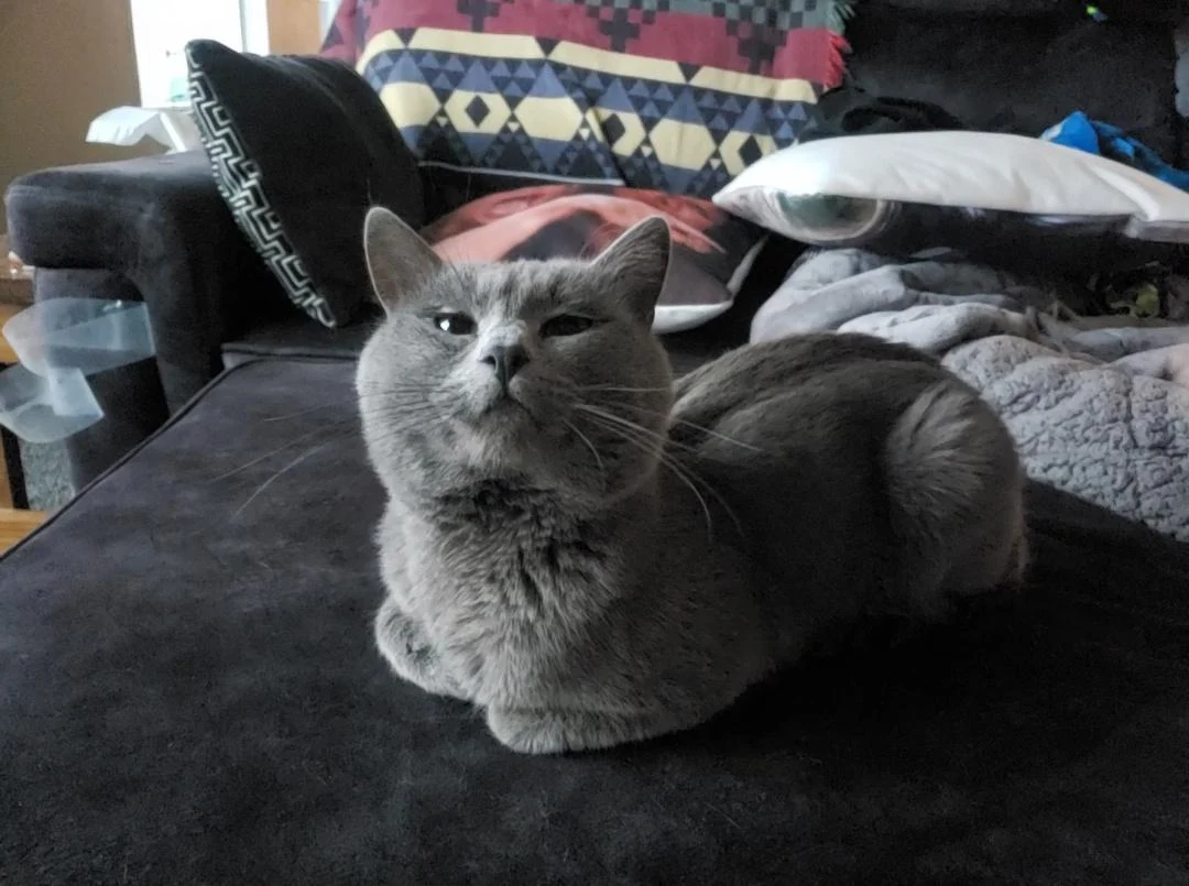 Rate my dusty loaf | Scrolller