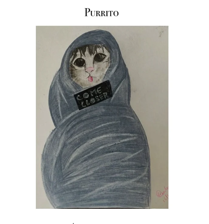 Purrito | Scrolller