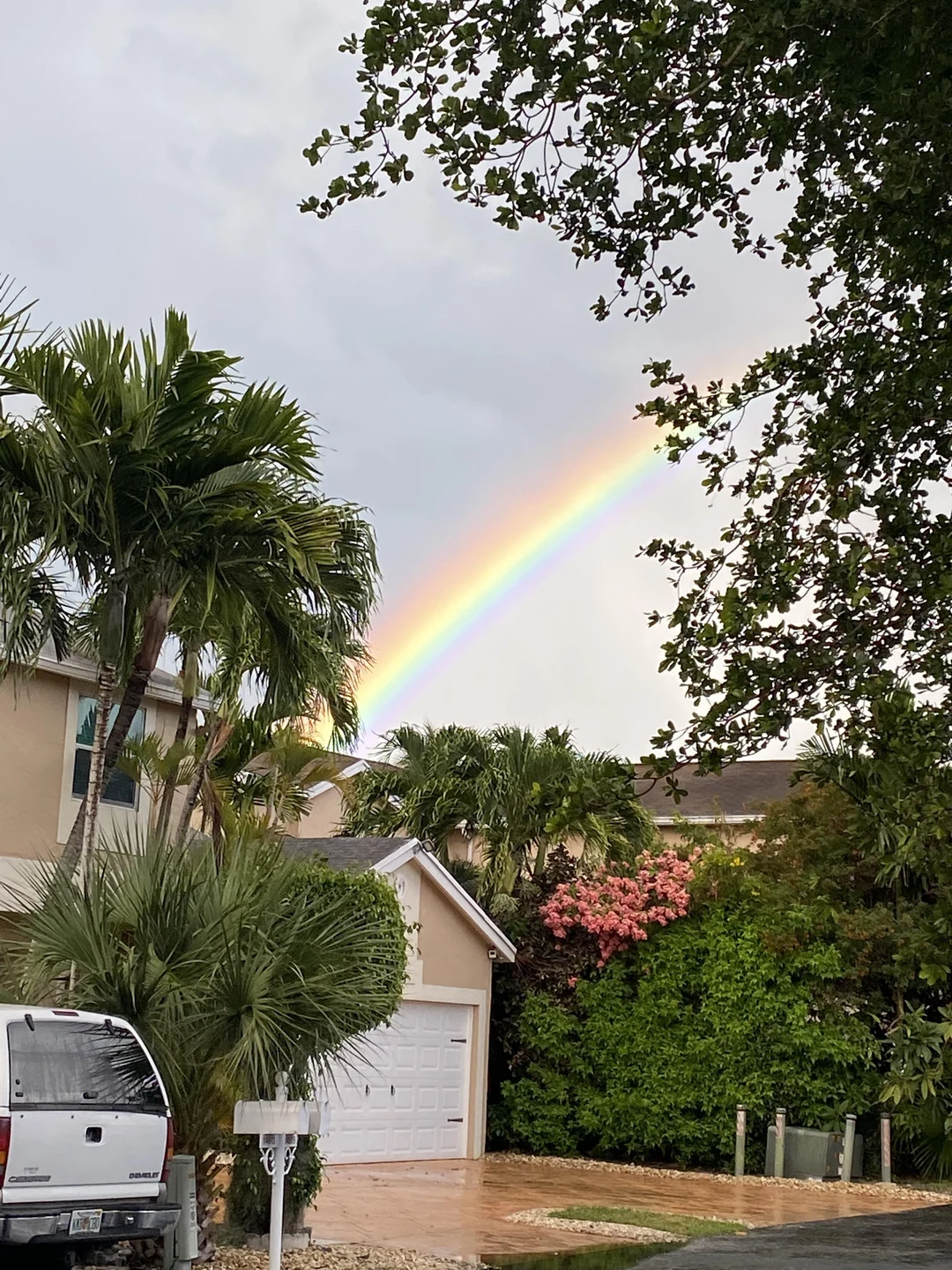 the most vivid rainbow i’ve ever seen! spotted in miami, fl | Scrolller