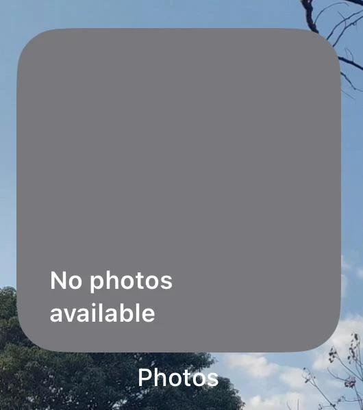 How do I select photos to appear here ? | Scrolller